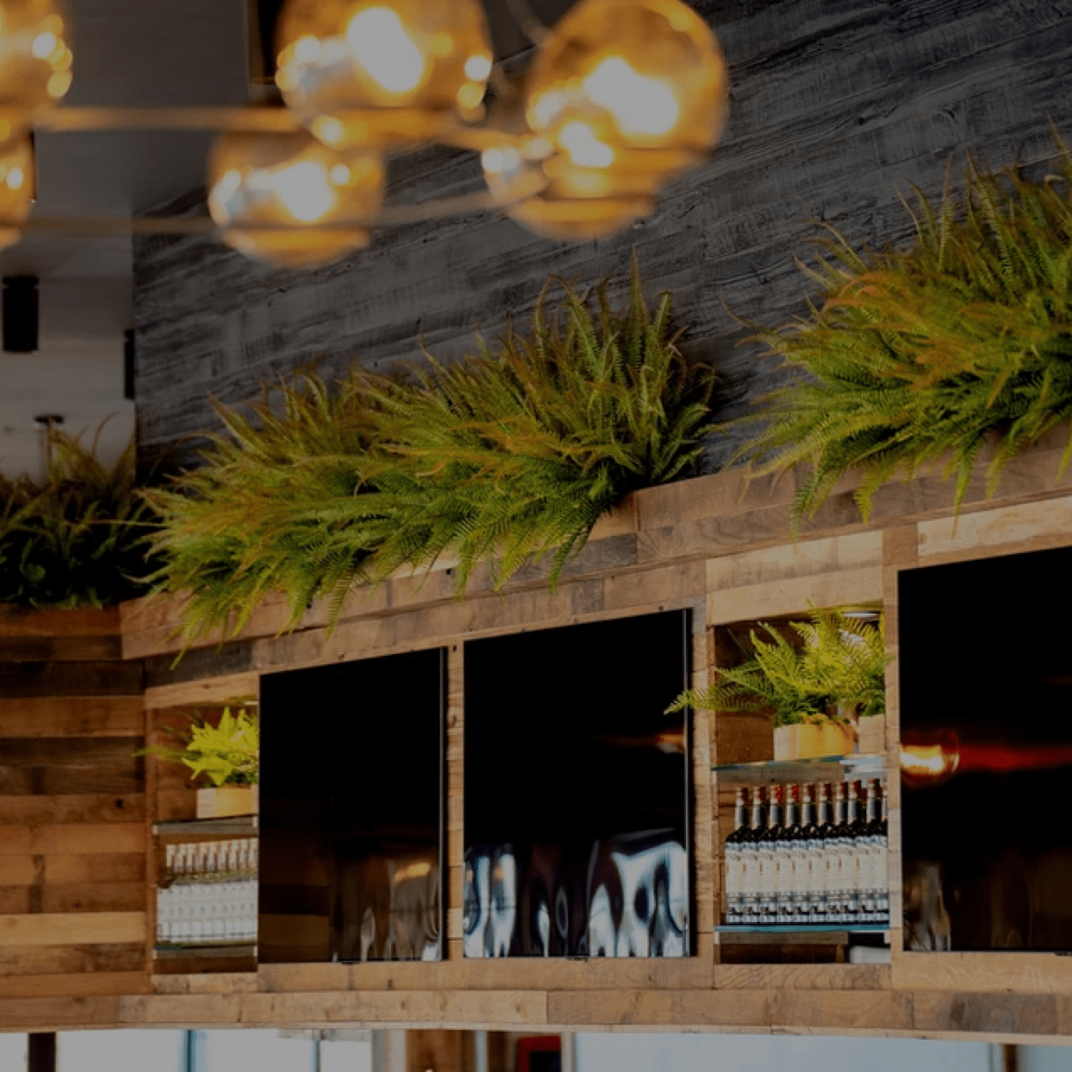 Restaurant | Tavern in the Square | United States